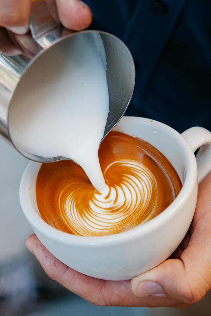Mastering Milk Frothing: The Ultimate Guide for Beginners