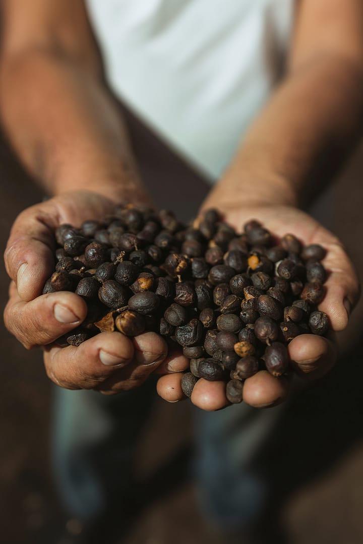 Best Single-Origin Coffees and Their Unique Flavor Profiles