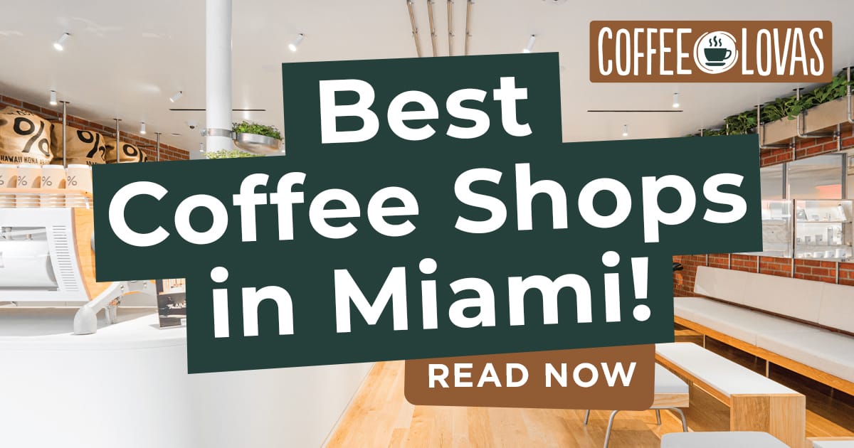 Must-Try Coffee Shops In Miami: 10+ Ultimate Hidden Gems